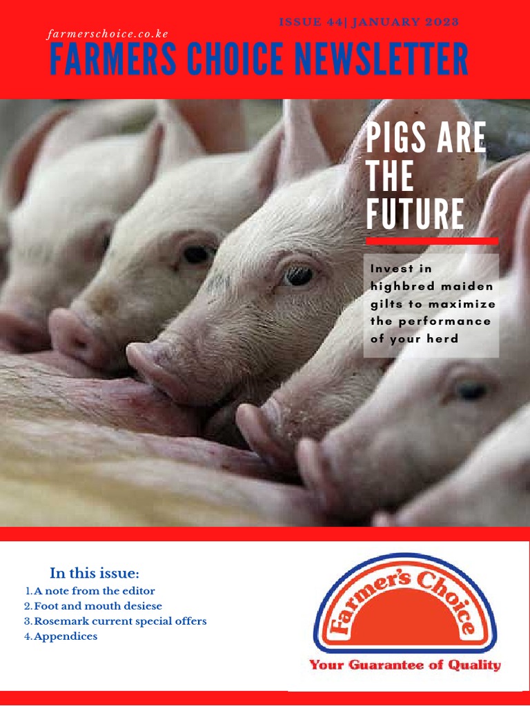 Pigs Are The Future Newsletter January 2023 Issue 44 | PDF | Vaccines | Pig