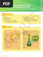 Cbse Class 12 Sexual Reproduction in Flowering Plants Mind Map | PDF ...
