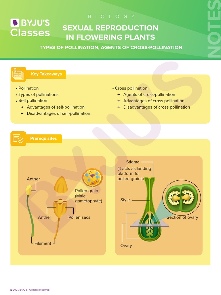 Pollination Theory | PDF | Flowers | Pollination