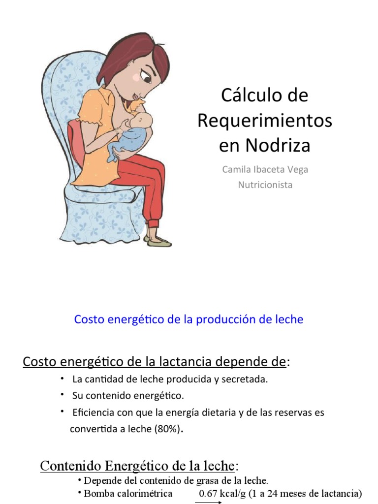 Cálculo de Requerimientos en Nodriza | PDF