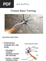 Coordination and Response - IGCSE Biology Notes (2020) | PDF | Synapse ...