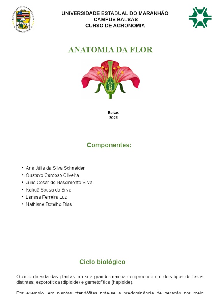 Anatomia e Morfologia Da Flor | PDF | Pólen | Morfologia vegetal