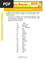 Vocabulario para Quinto Grado | PDF