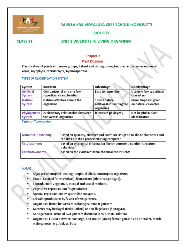 Class 11 Plant Diversity Overview | PDF | Spore | Organisms