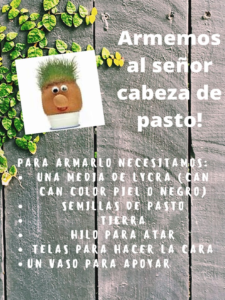 Instrucciones para hacer un señor cabeza de pasto | PDF