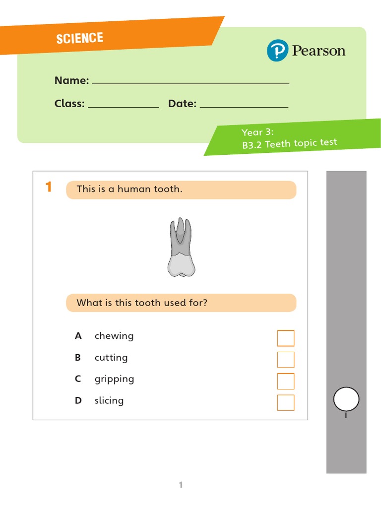 Ip PT Ip Science Y3 t2019 | PDF | Language Arts & Discipline