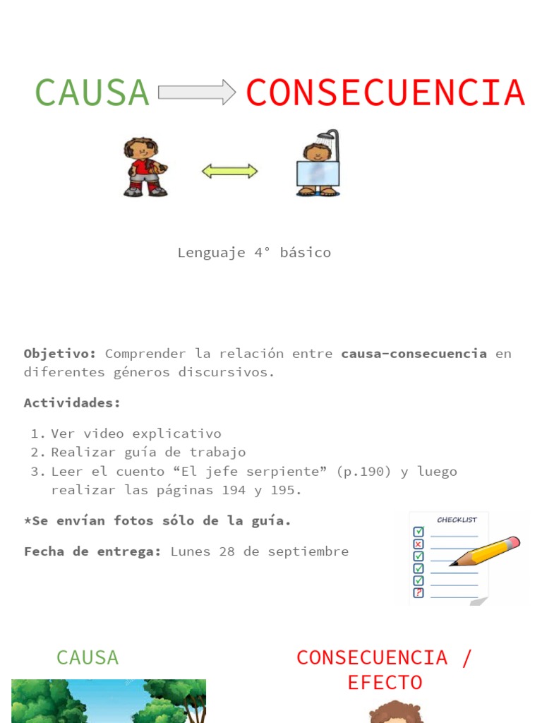 Presentacion Causa Consecuencia | PDF