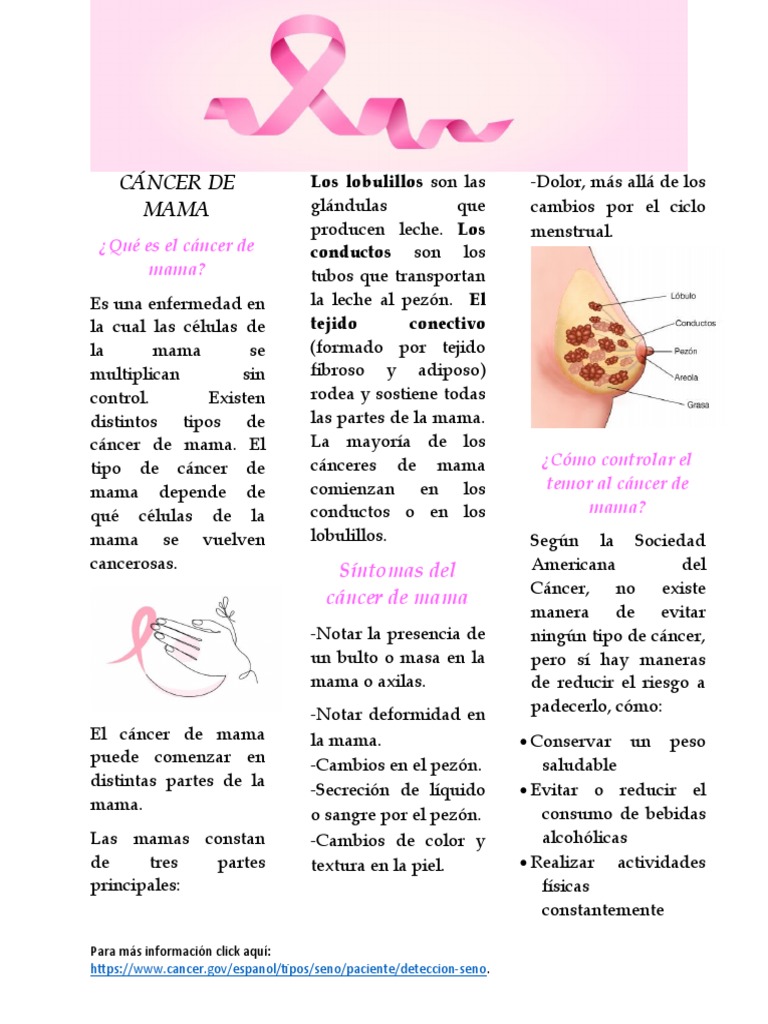 Cáncer de Mama Brochure | Descargar gratis PDF | Cáncer de mama | Cáncer