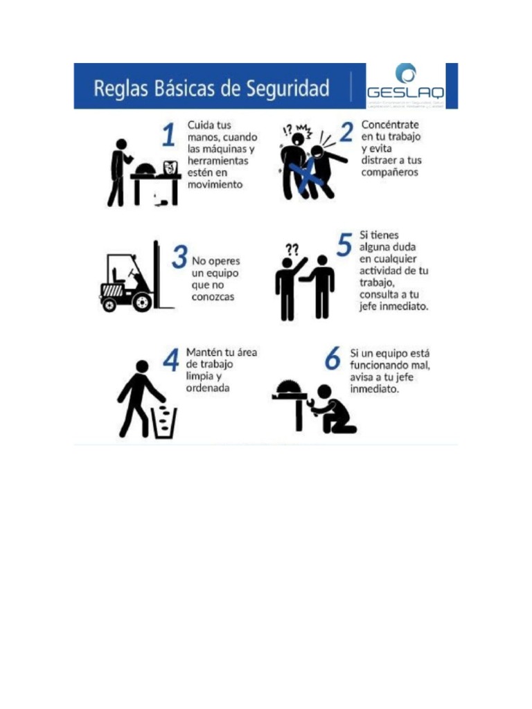 Tips Basicos Reglas de Seguridad | PDF