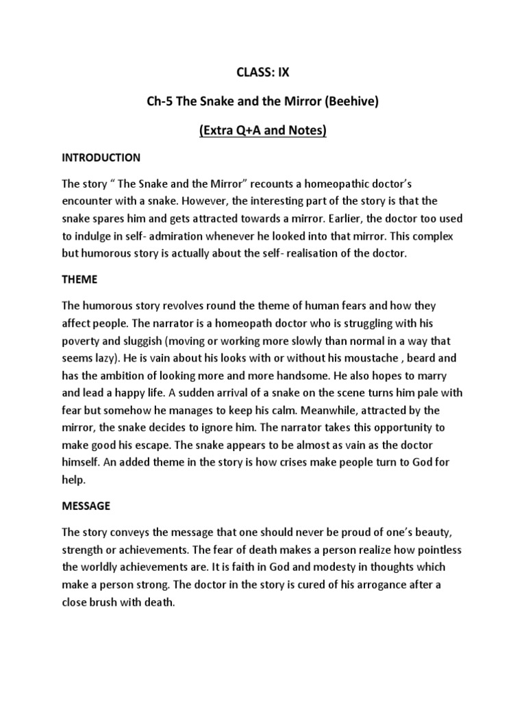 The Snake and The Mirror (Extra Q+A AND Notes) (Beehive) | PDF