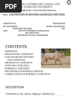 Locating Cattle and Sheep Injection Sites | PDF | Injection (Medicine ...