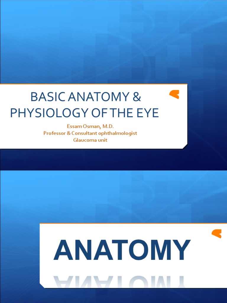 Anatomy and Physiology of The Eye | Download Free PDF | Retina | Visual ...