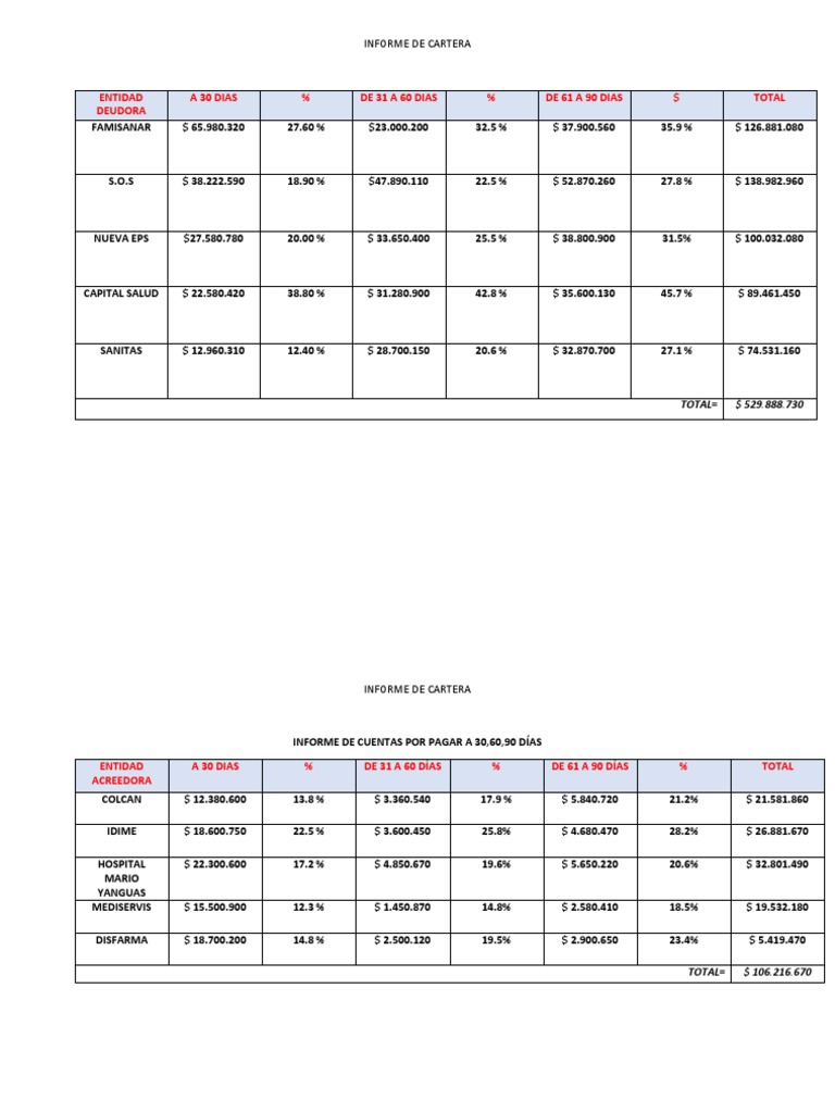 Informe de Cartera Evidencia | PDF