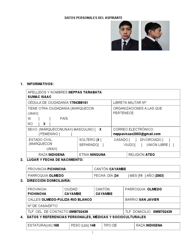 Iimpresion Formatos para Elaboración de Carpeta Digital Esforse 2023 | PDF