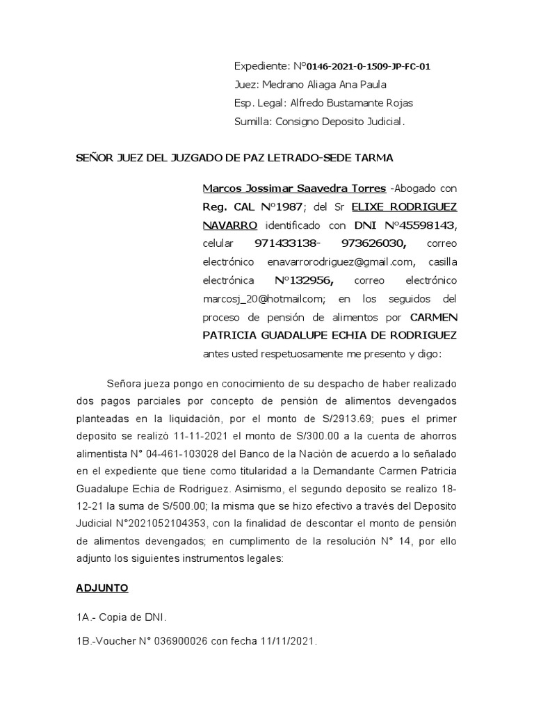 Escrito de Deposito Judicial | PDF