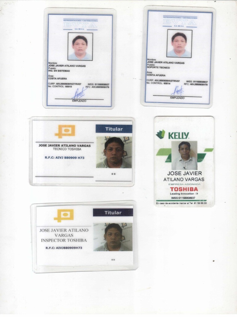CREDENCIALES DE TRABAJO | PDF