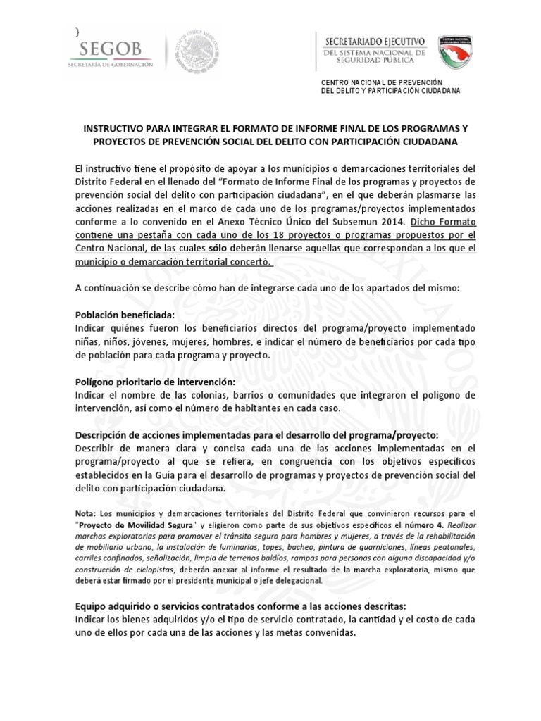 Instructivo para el llenado del Formato de Informe Final 2014 | PDF