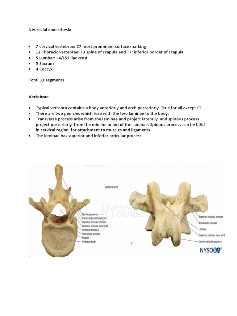 Neuraxial Anaesthesia | PDF | Vertebra | Vertebral Column