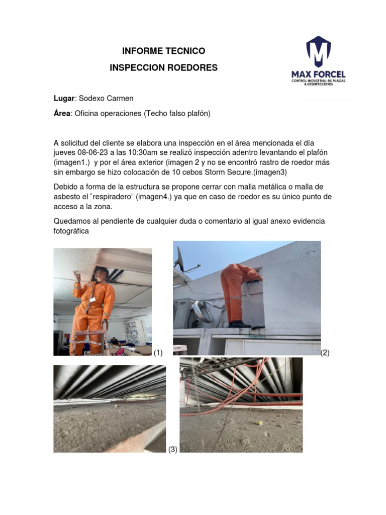 Informe Inspeccion | PDF