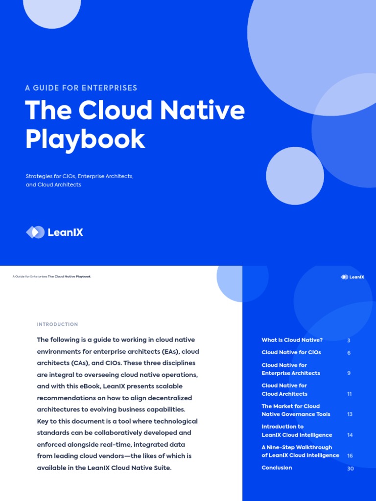 LeanIX Ebook Cloud Native Playbook | PDF | Cloud Computing | Enterprise ...