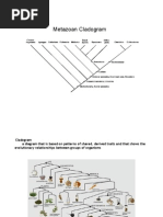 Membrane Function Pogil Key | PDF | Cell Membrane | Cell (Biology)
