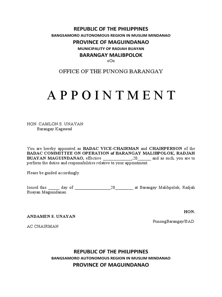 APPOINTMENT | PDF | Governance | Philippines