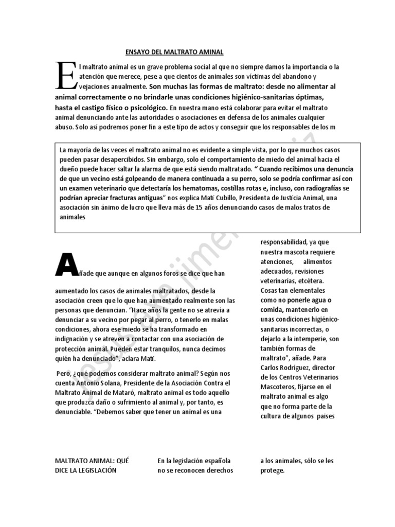 Maltrato Animal Ensayo | PDF | Abuso infantil | Justicia