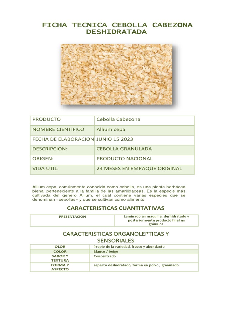 Ficha Técnica de Cebolla Cabezona Deshidratada | PDF | Cebolla | Comida ...