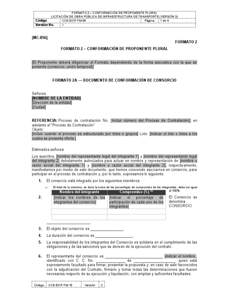 Formato 2 - Conformacion de Proponente Plural | PDF