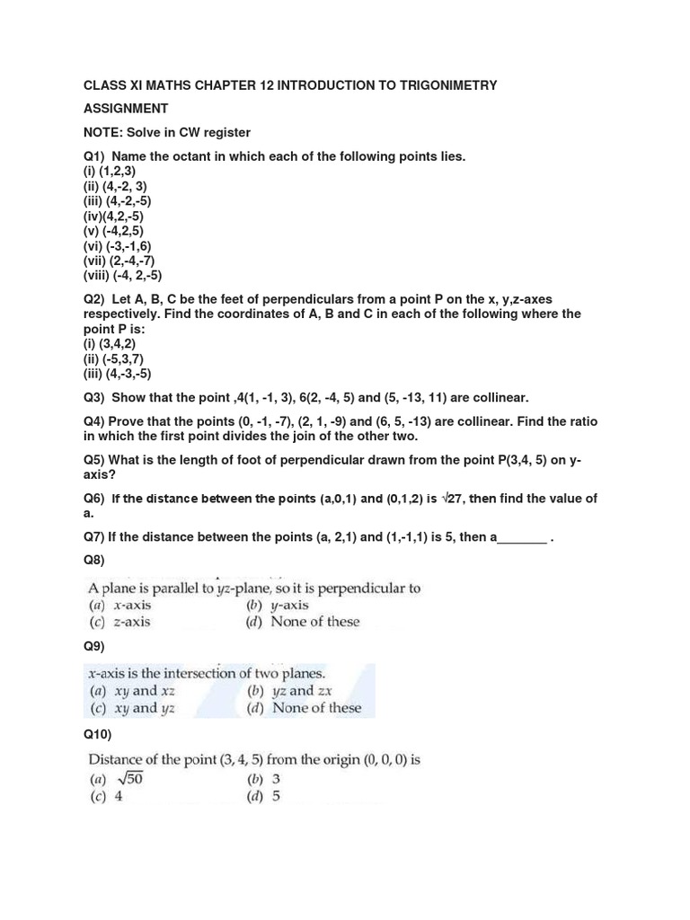 Class Xi Maths CH 12 Assignment | PDF | Teaching Methods & Materials | Computers