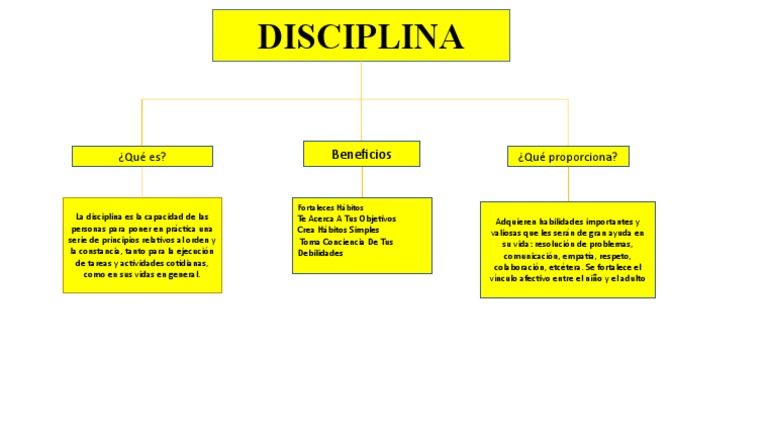 Mapa Conceptual de La Disciplina | PDF