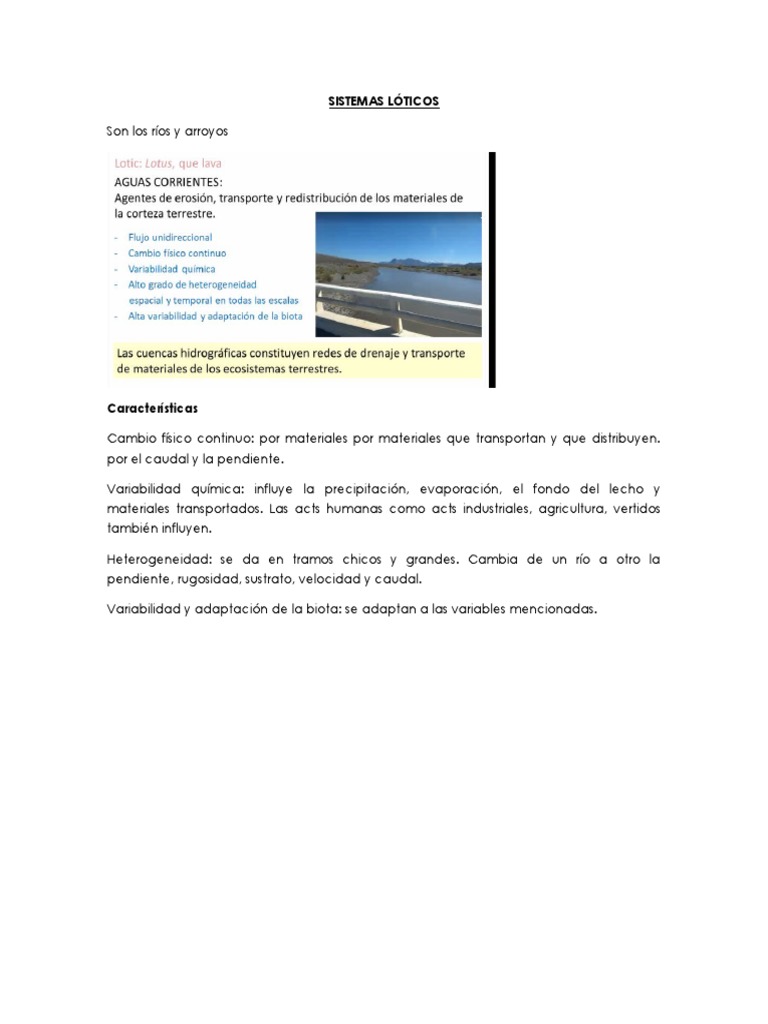 Sistemas Lóticos | PDF | Río | Ecosistema