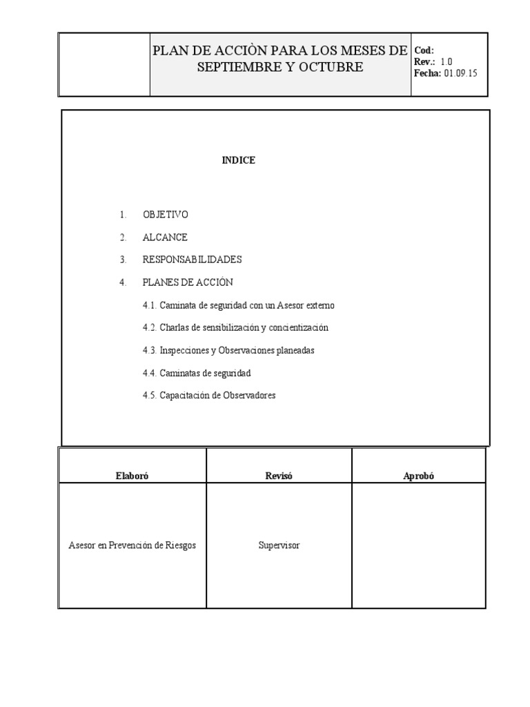 Programa PLAN DE ACCION | PDF