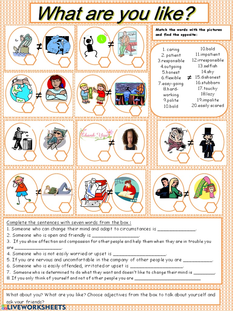 Personality Adjectives | Download Free PDF | Psychology