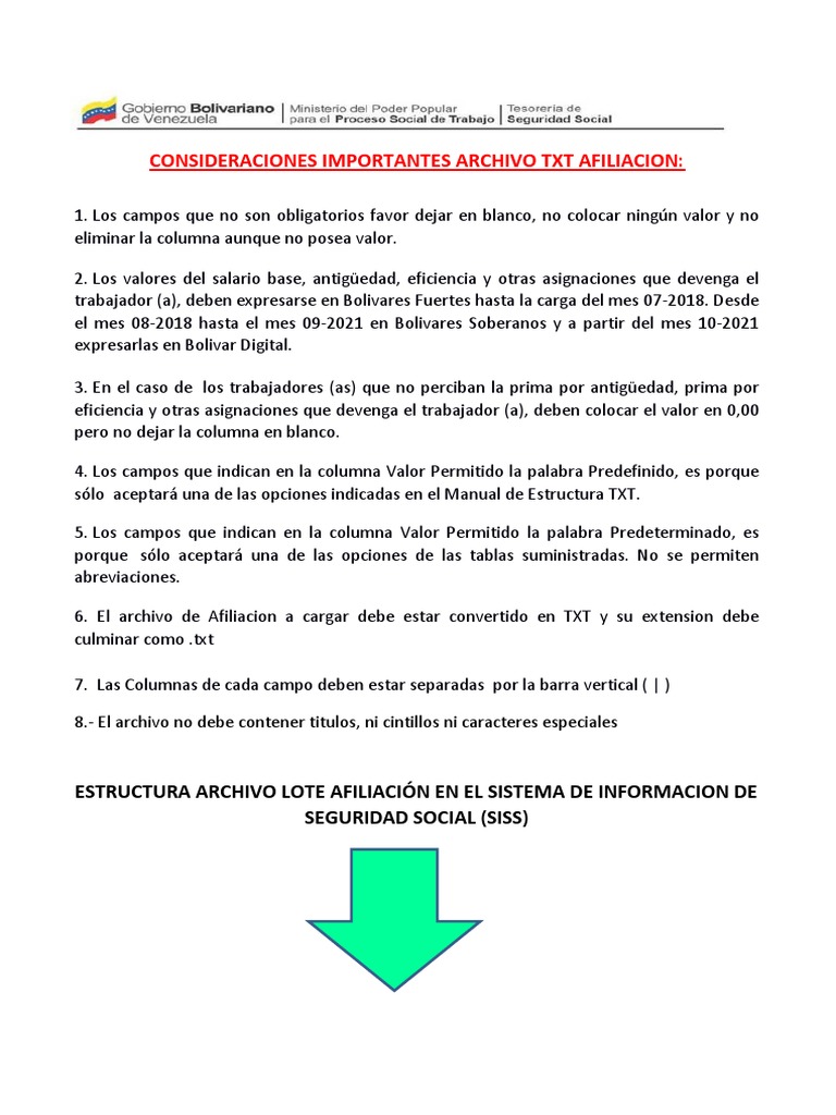 Manual Estructura Archivo TXT Afiliacion | PDF