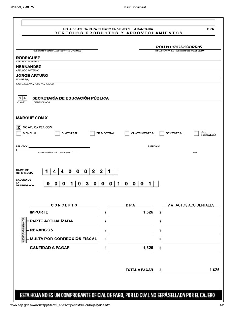 Formato de Pago Cedula Profesional | PDF