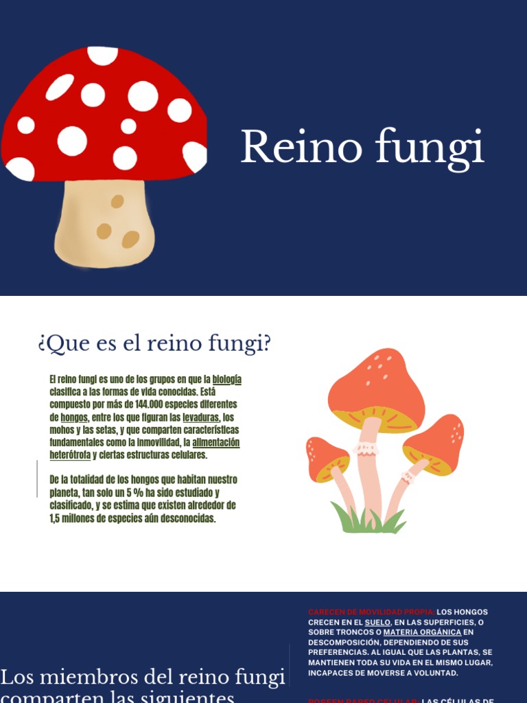 Características del Reino Fungi | PDF | Hongo | Reproducción