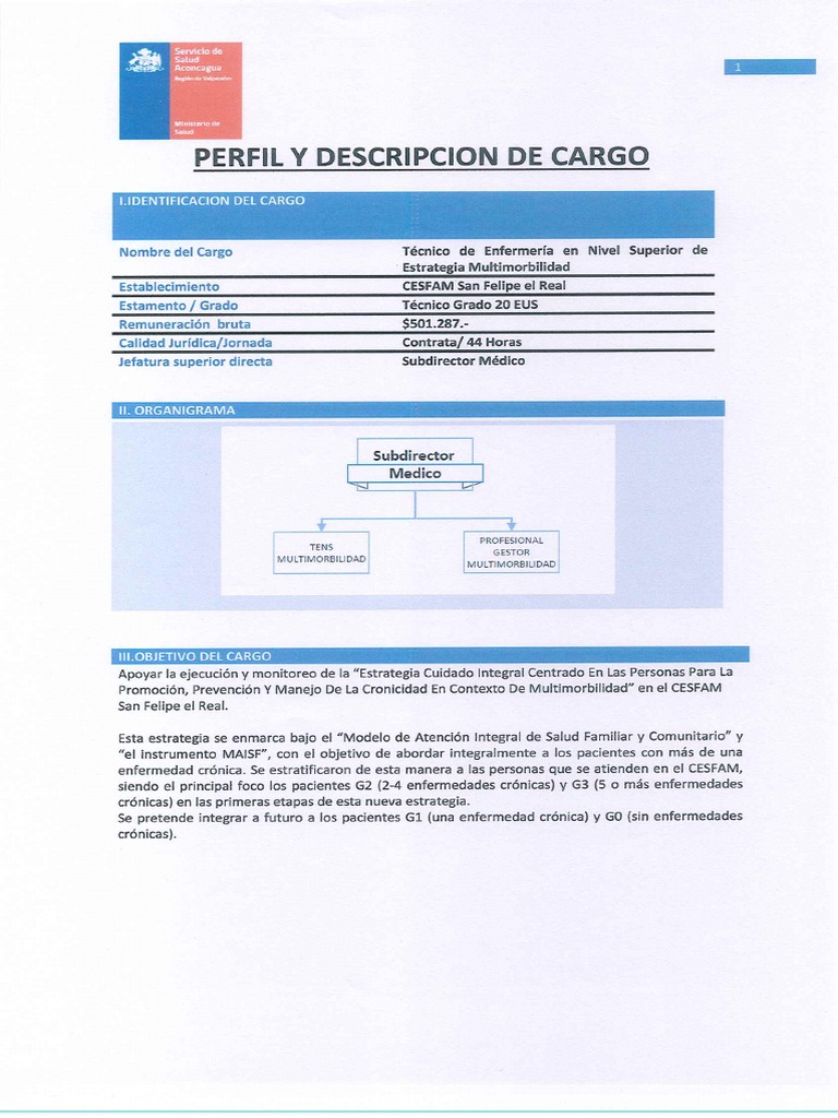 Perfil de Cargo TENS de Multimorbilidad | PDF