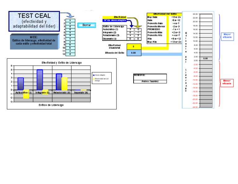 Correccion Ceal Automatica | PDF