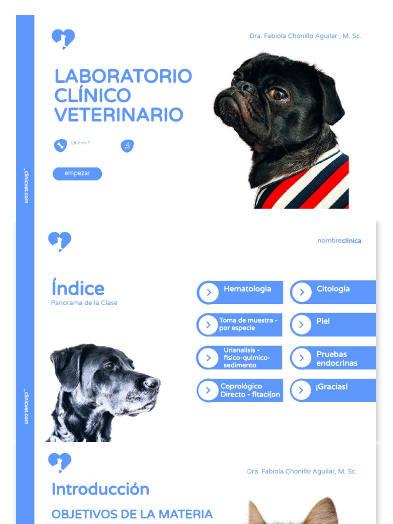 Introducción Al Laboratorio Clínico | PDF | Laboratorios | Medicina CLINICA