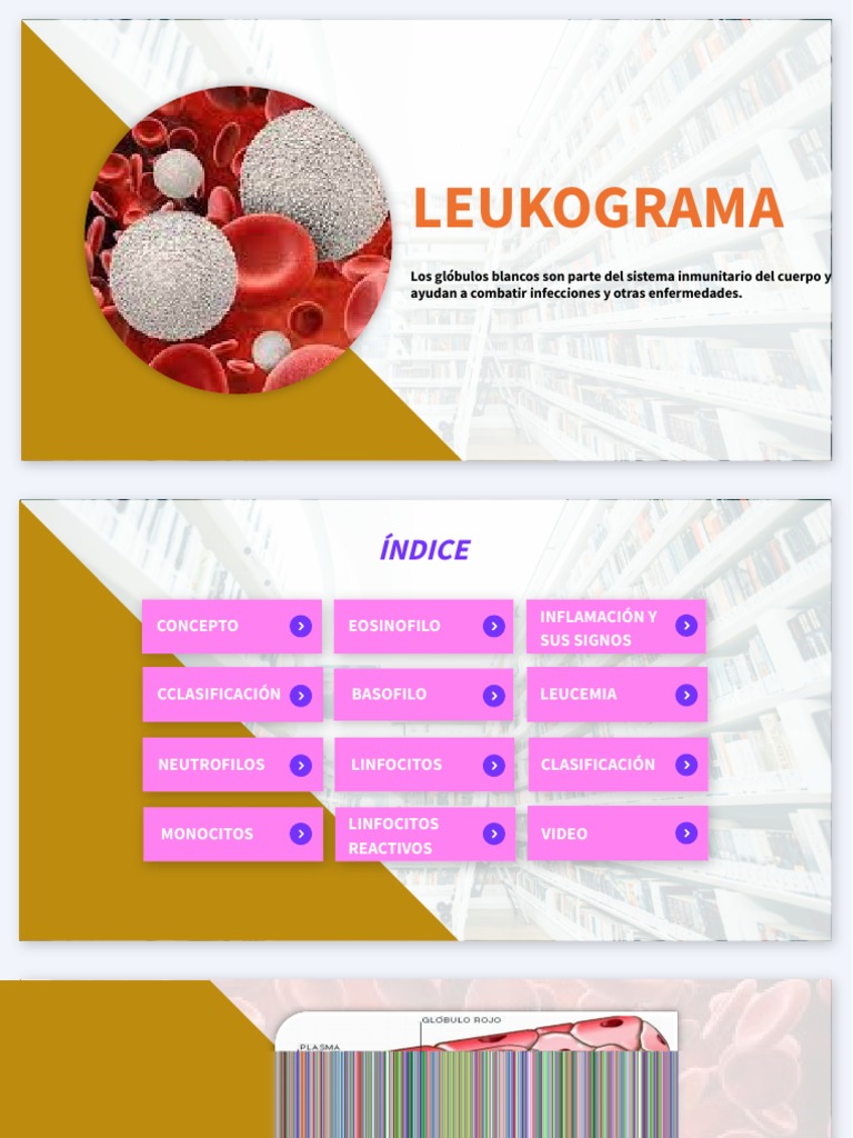 LEUCOGRAMA | PDF | Leucocito | Inflamación