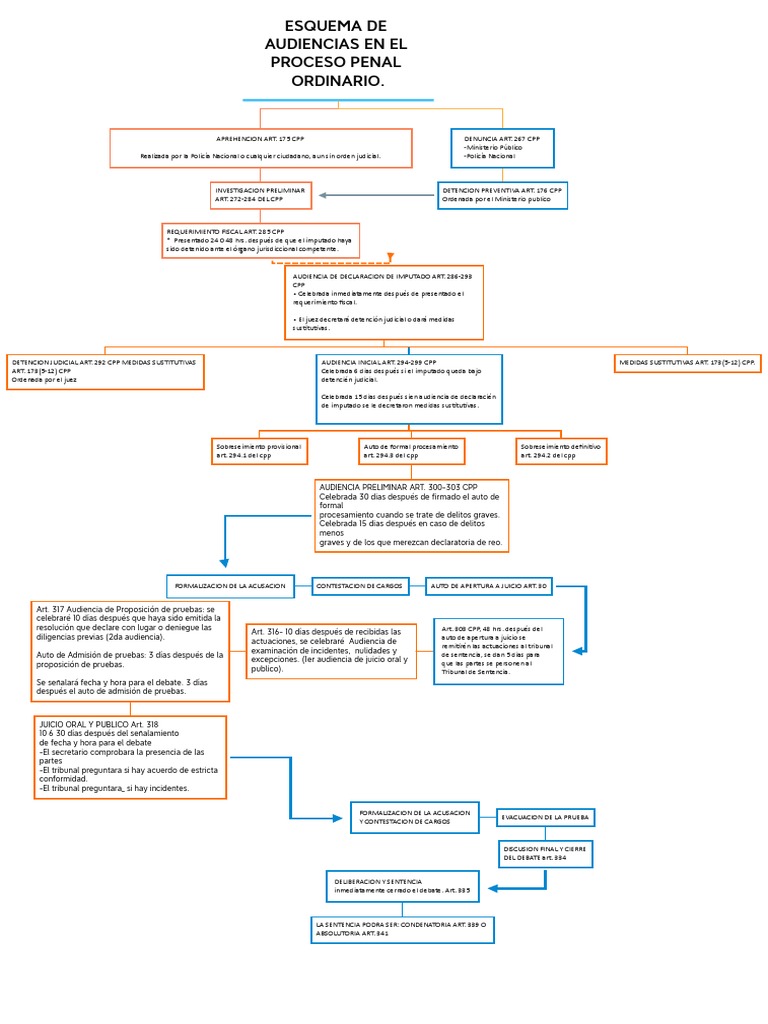 Esquema de Audiencias en El Proceso Penal Ordinario. | Descargar gratis PDF | Crimen y violencia ...