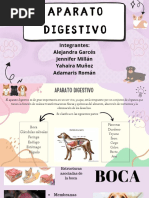 Anatomia Veterinaria - Sistema Endocrino | PDF | Páncreas | Abdomen