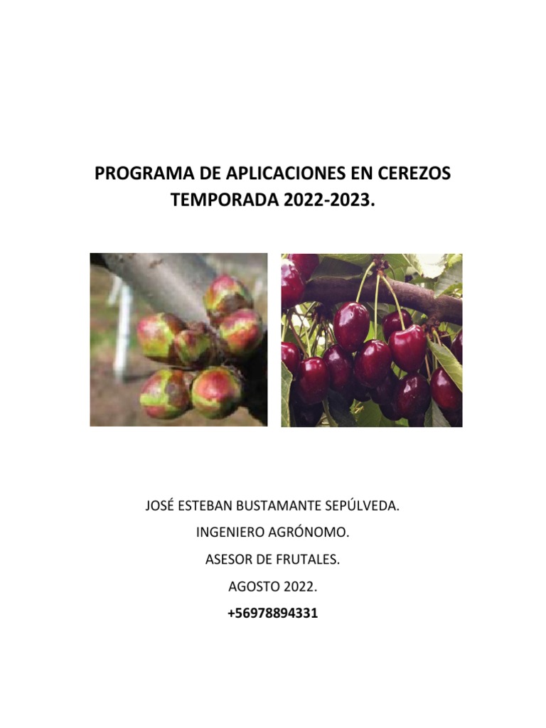 Captura de Pantalla 2022-11-02 A La(s) 11.02.34 | Descargar gratis PDF | Cereza | Chile