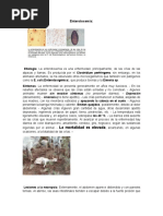 Guía sobre Cromoniquia y Alteraciones Ungueales | PDF | Clavo (anatomía ...