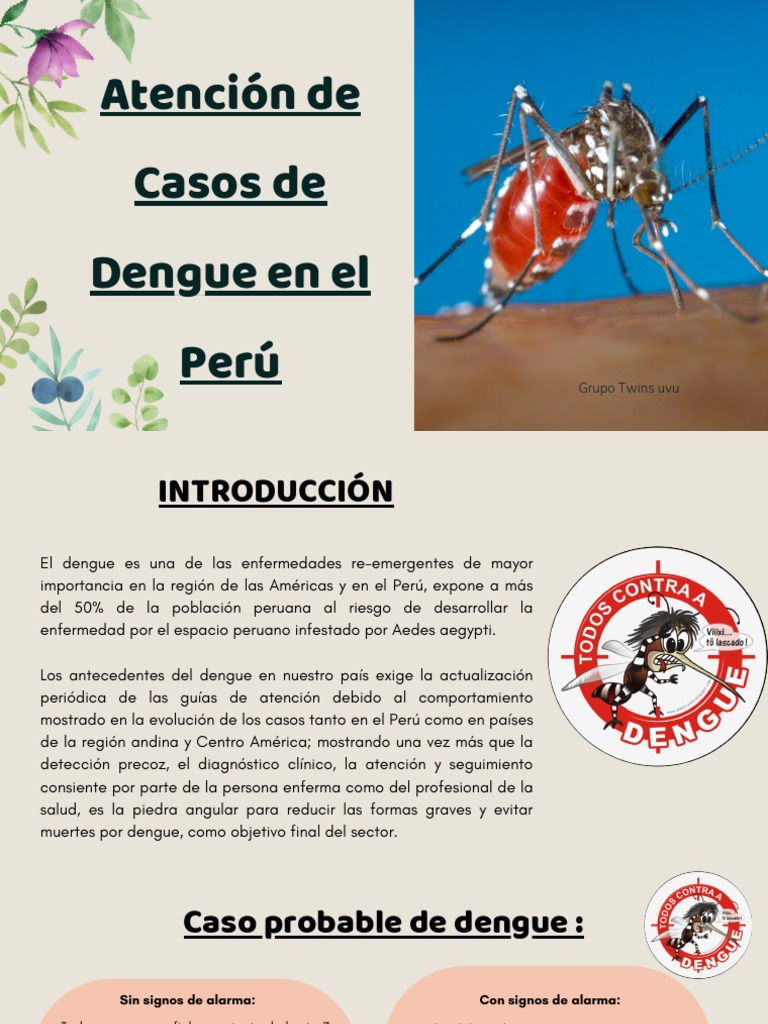 DENGUE | PDF | Ciencias de la Salud | Epidemiología