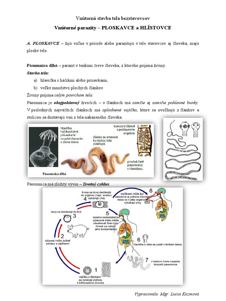 Vnútorné Parazity - Ploskavce A Hlístovce | PDF
