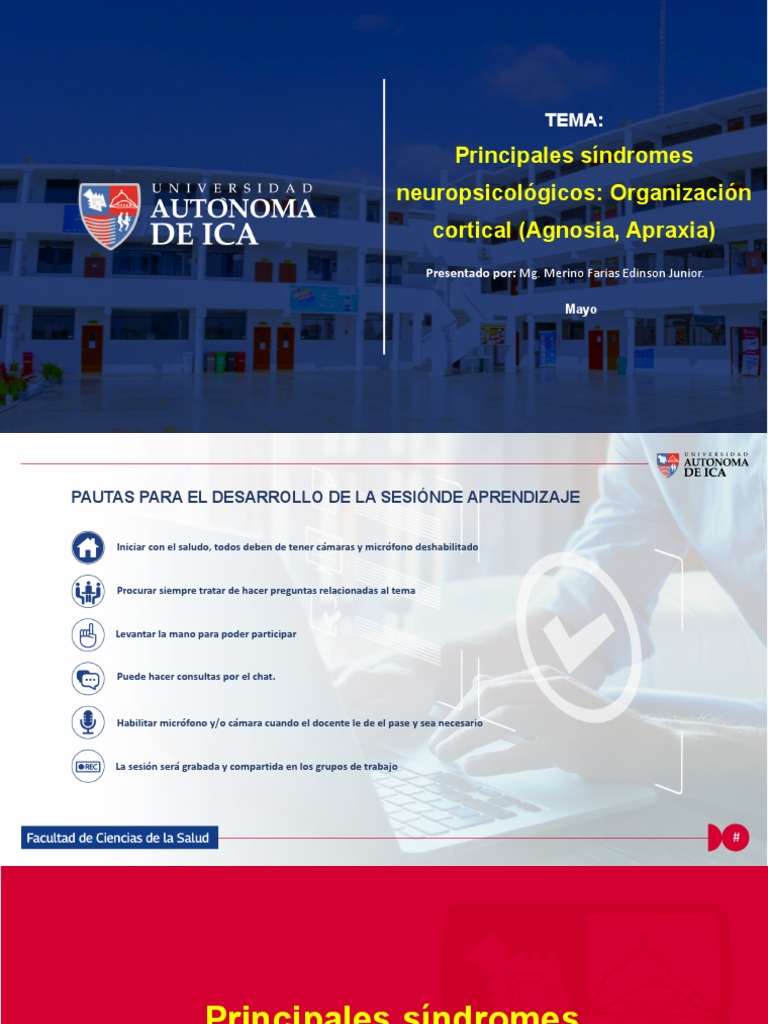 Sesión - Principales Síndromes Neuropsicológicos Organización Cortical ...