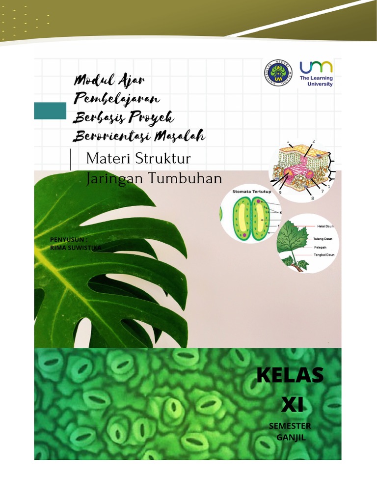 Modul Ajar Materi Struktur Jaringan Tumbuhan | PDF