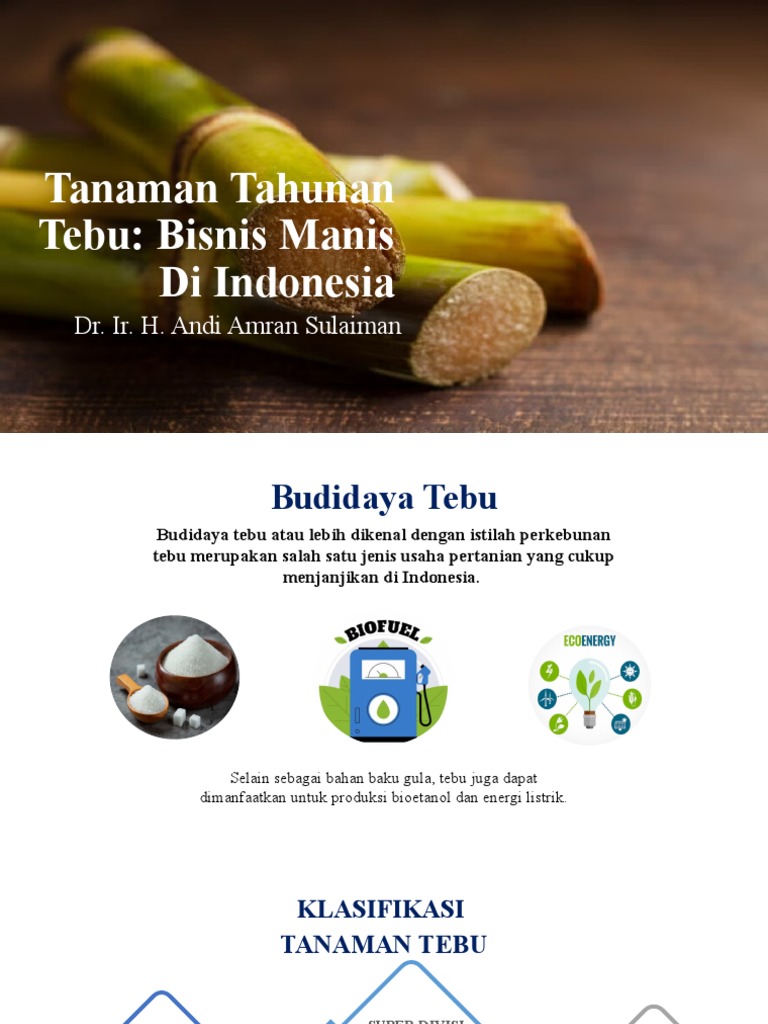 Tanaman Tahunan: Tebu | PDF